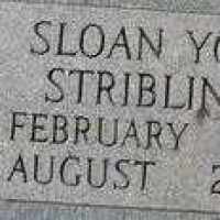 Sloan Yowell Stribling Jr. (1891–1981) • FamilySearch