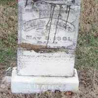 Miles Washington Adams Sr (1801–1885)