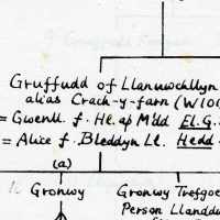 Sir Gruffydd ap Madog of Llannwchllyn (1280–1356)