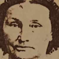 Martha Elizabeth Lewis (1829–1907)