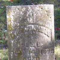 William Thomas Jenkins (1840–1876)