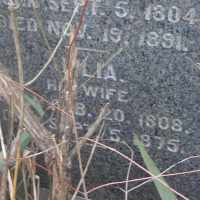 Julia Ann Courtright (1808–1875)