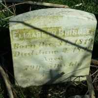 Elizabeth Shepherd (1819–1890) • FamilySearch