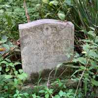 Nora Wills (1881–1953) • FamilySearch