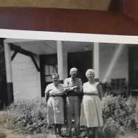 William Levi Hearst (1877–1964)