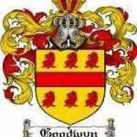 Anne Elizabeth Ehler Goodwyn-Abbes Lady (1490–1572)