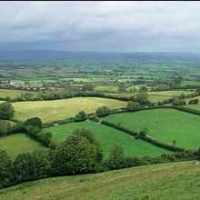 Jacob Paul Custer (1440–1490)