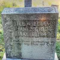 William Anderson Williams (1864–1942)