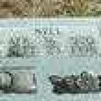 Orville Nell Harrison (1920–1998) • FamilySearch