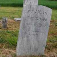 Sara Jane Stocks (1863–1937)