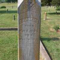 Thomas J Adams (1835–1895)