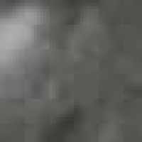 Elizabeth Neale (1889–1972)