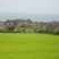 Audrey Hare (1541–1581)