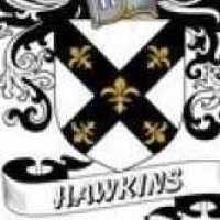 Sir Osbert de Hawkins (1393–1425)