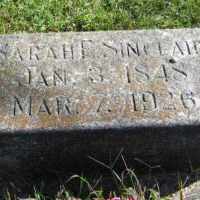 Sarah Ellen Ferguson (1848–1926) • FamilySearch