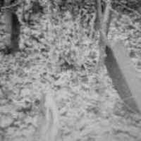 James T. Redfearn Sr (1714–1768) • FamilySearch