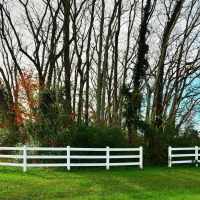 Elizabeth Decherd (1793–1847)