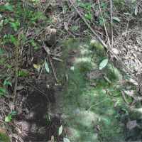 Joseph Fore (1744–1835)