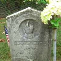 Andrew Jackson White (1818–1904)