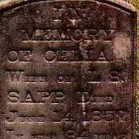 Cecelia "Celia" Crews (1773–1857)