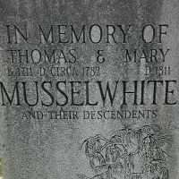 Thomas Musselwhite (1711–1782)