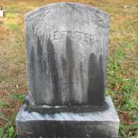 William E Foster (1832–1918)