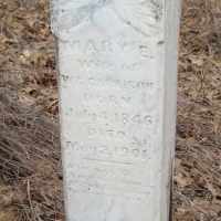 Mary Elizabeth Wilson (1846–1901) • FamilySearch