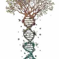 Michael Joseph Warling (1854–1927)