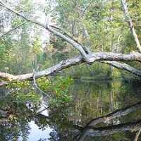 Elizabeth Sexton (1716–1807)