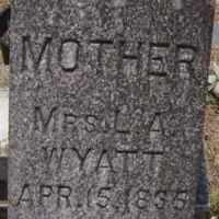 Louise Ann Varner (1835–1891)