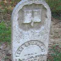 Levi Stephens (1796–1861)
