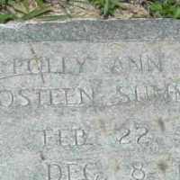 Polly Ann Idell Osteen (1854–1929)