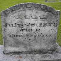 David William Cook (1823–1879)