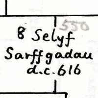 King Selyf Sarffgadau ap Cynan of Powys (0575–0616)