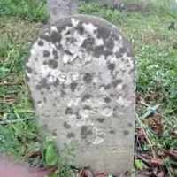 Joseph W Jackson (1874–1874) • FamilySearch