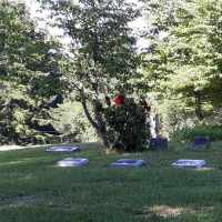 Lodwick Alford Sr. (1710–1799)