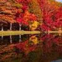 Elizabeth Bennet Mann (1743–)