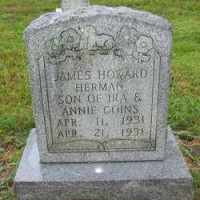 Jimmie Howard Herman Goins (1931–1931) • FamilySearch
