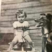 Elsie Quindlen (1939–2001) • FamilySearch