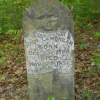 John L. Morgan (1869–1896) • FamilySearch