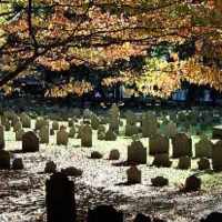 Onesiphorus Page (1642–1706)