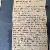 Bridget Francis Higgins (1867–1922) • FamilySearch