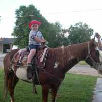 Norman Casey Berry (1968–2012) • FamilySearch