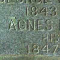 Agnes E. Gallup (1847–1925) • FamilySearch