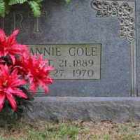Annie Lavonia Cole (1889–1970) • FamilySearch