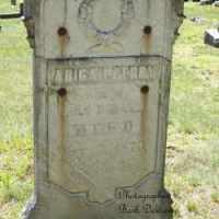 Abigail Perry (1804–1870)