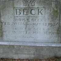 Mary Alice Hedrick (1873–1967) • FamilySearch