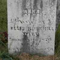 Anna Holloway (1803–1870) • FamilySearch