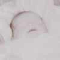 Shane Fernelius (1954–1954) • FamilySearch