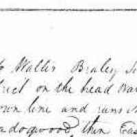 Walter Braly (1761–1798)